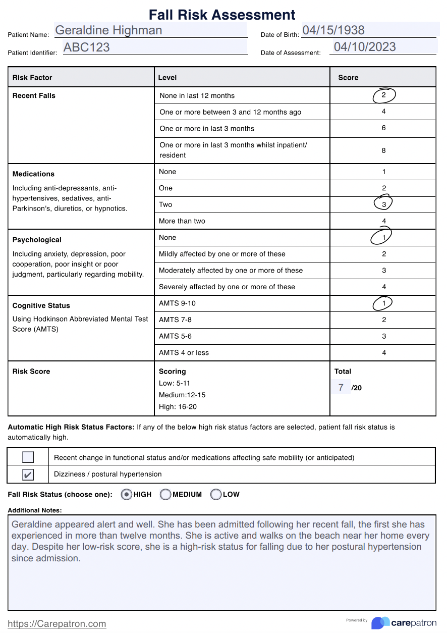 Fall Risk Assessment Example Free PDF Download